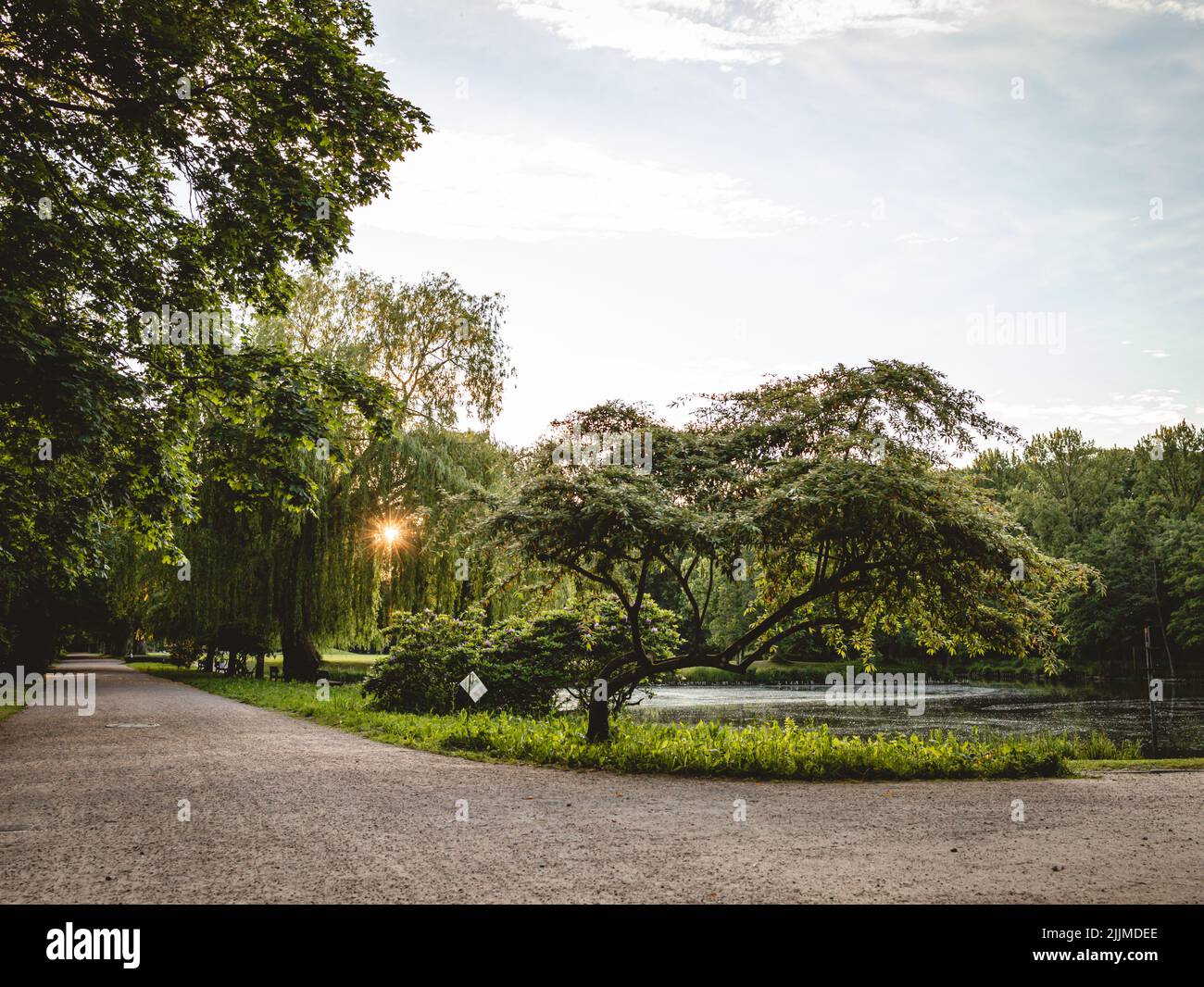 City scenic tree hi-res stock photography and images - Alamy