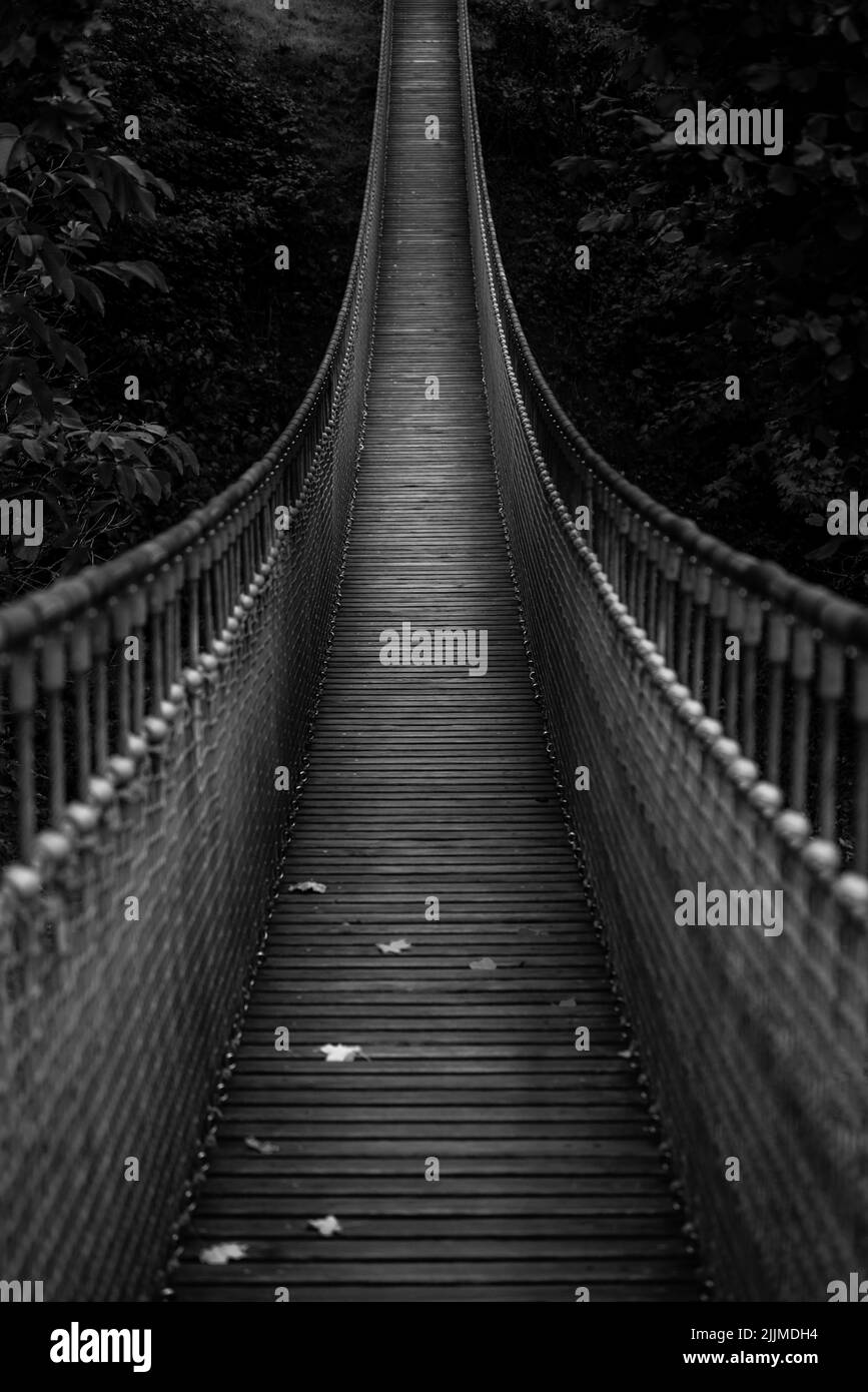 Vertical shot wood in Black and White Stock Photos & Images - Alamy