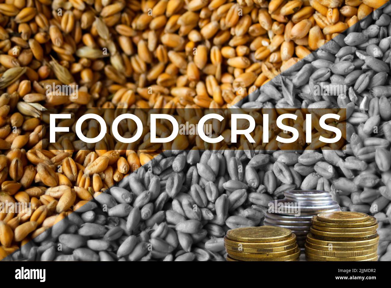 Food crisis. Global and European grain and wheat crisis, Ukraine ...
