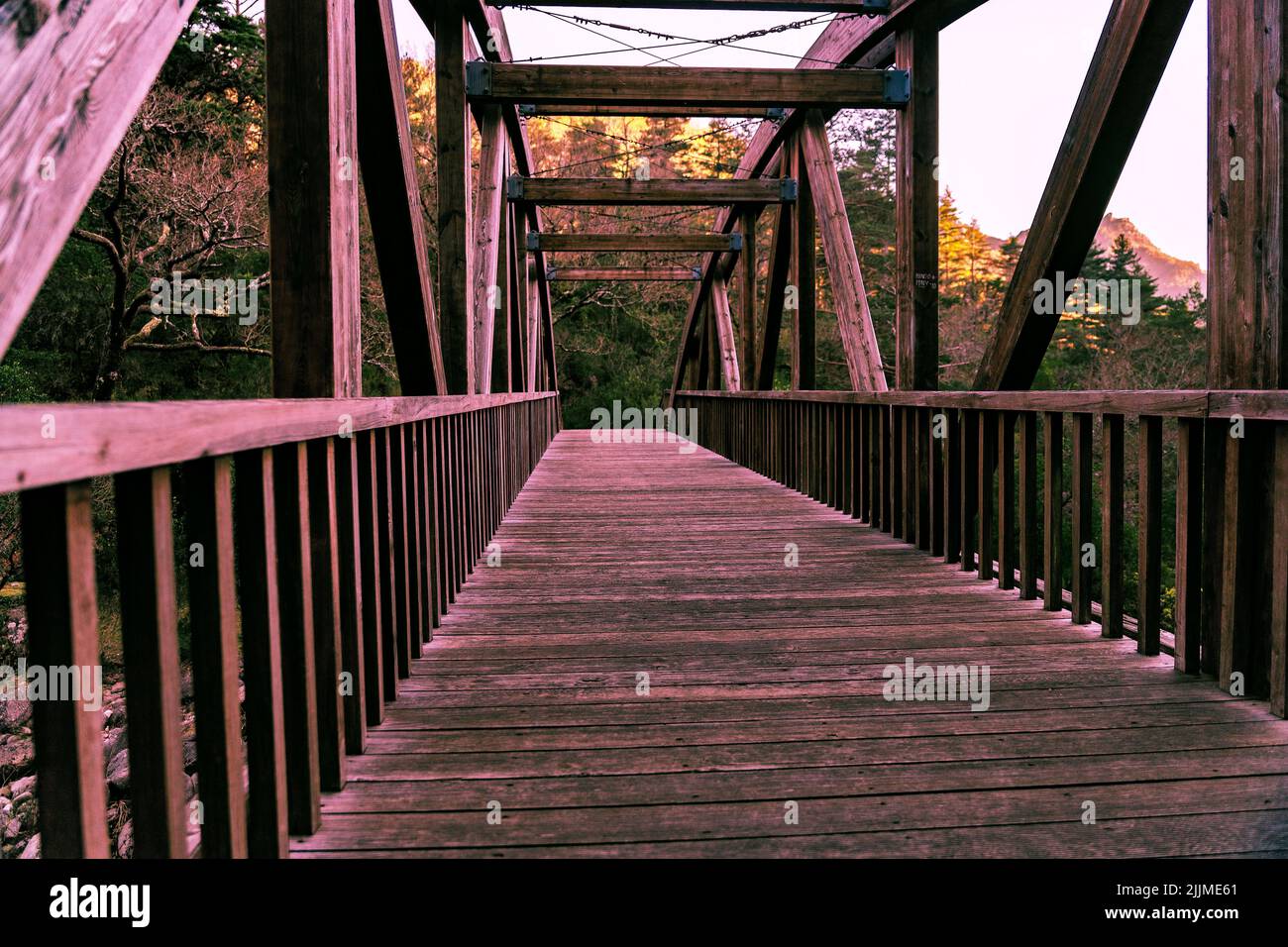 An empty wooden bridge over the river surrounded by trees Stock Photo ...