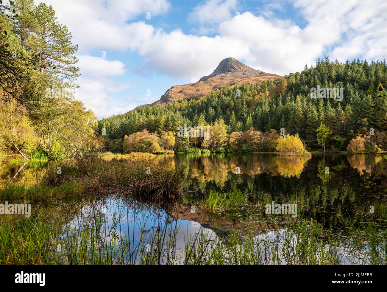 Landscape photography of lake, mountains, forest, autumn, Glencoe ...