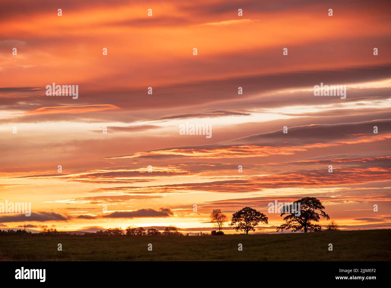 Landscape photography of stunning sunset, field, trees, sky, clouds ...