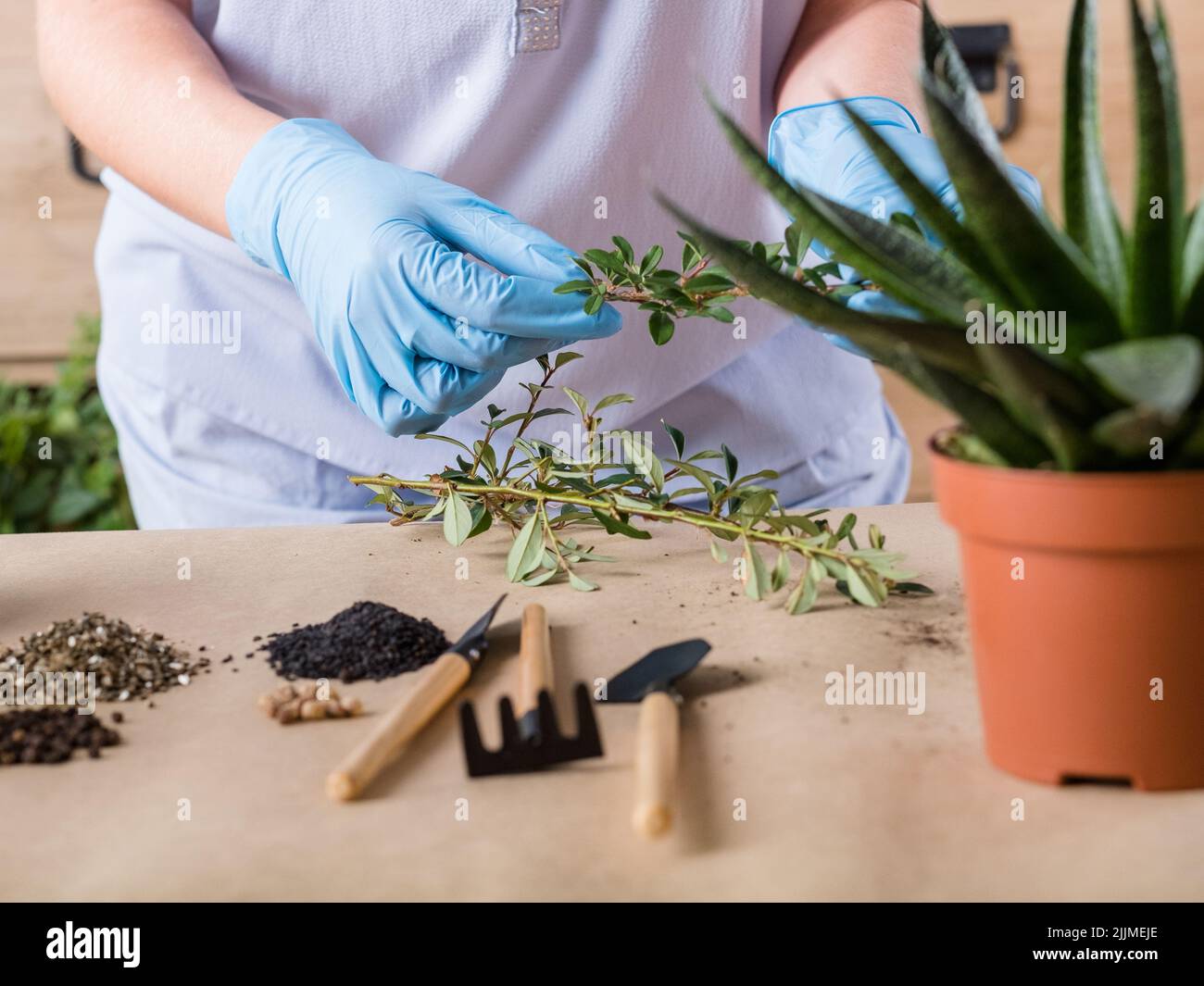 Care stress hi-res stock photography and images - Alamy