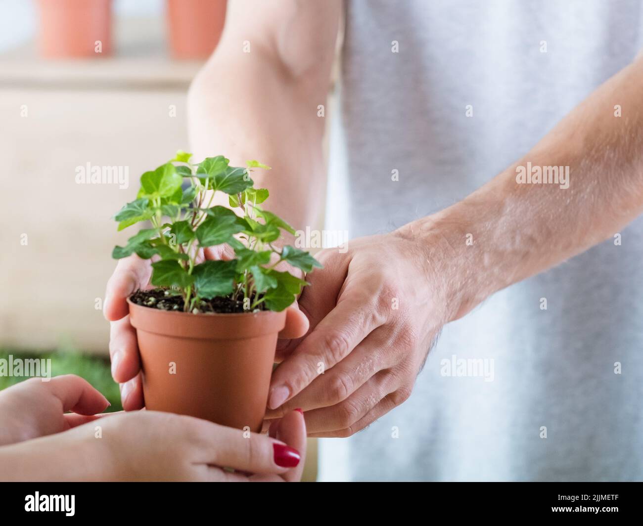 nature protection family lifestyle couple plant Stock Photo - Alamy