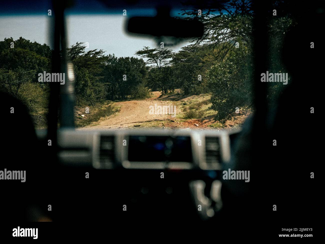 A beautiful shot from inside a car driving through park path way with ...