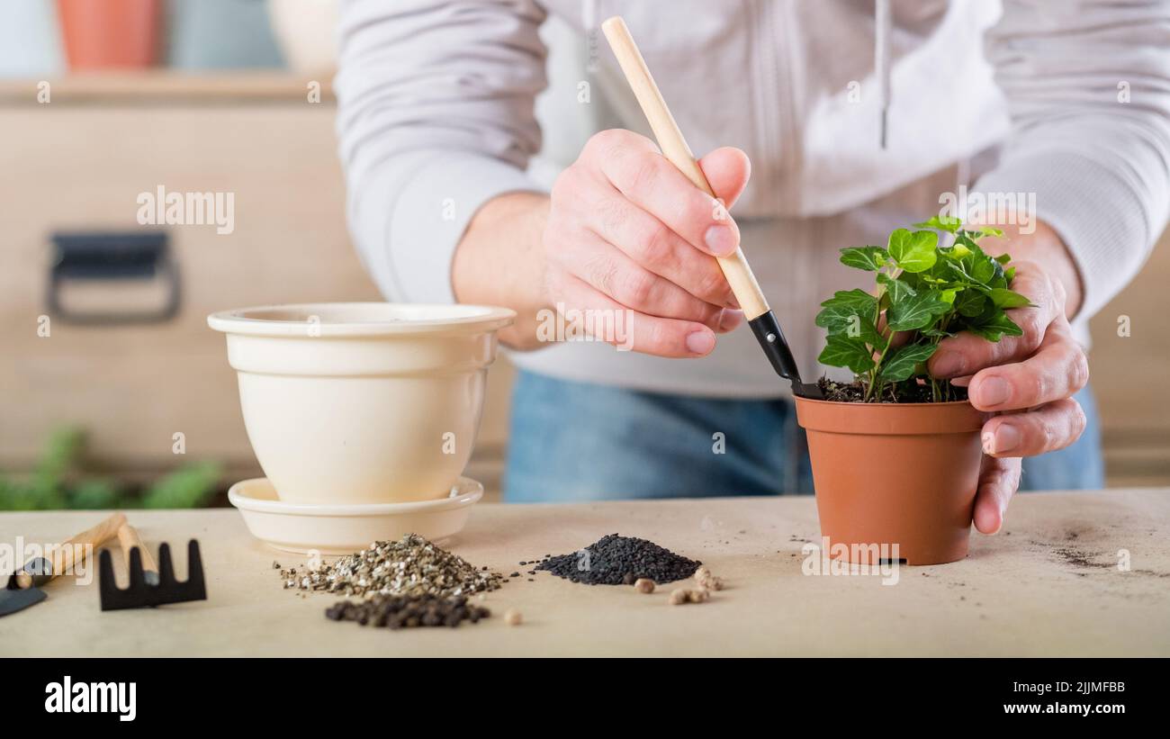 plant transplantation home flora replanting tools Stock Photo - Alamy