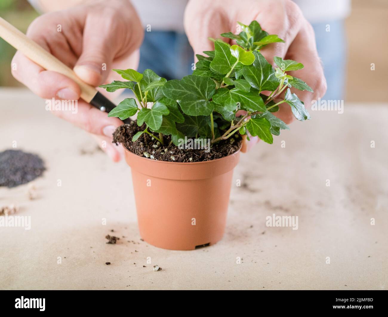 Replanting hi-res stock photography and images - Alamy