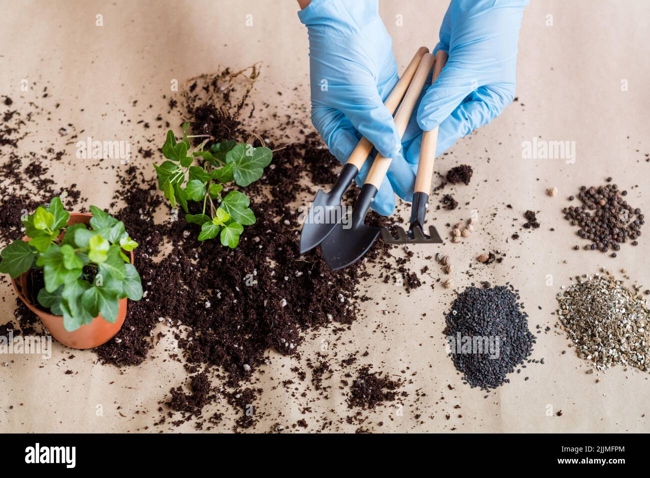 garden equipment tools indoor gardening replant Stock Photo - Alamy