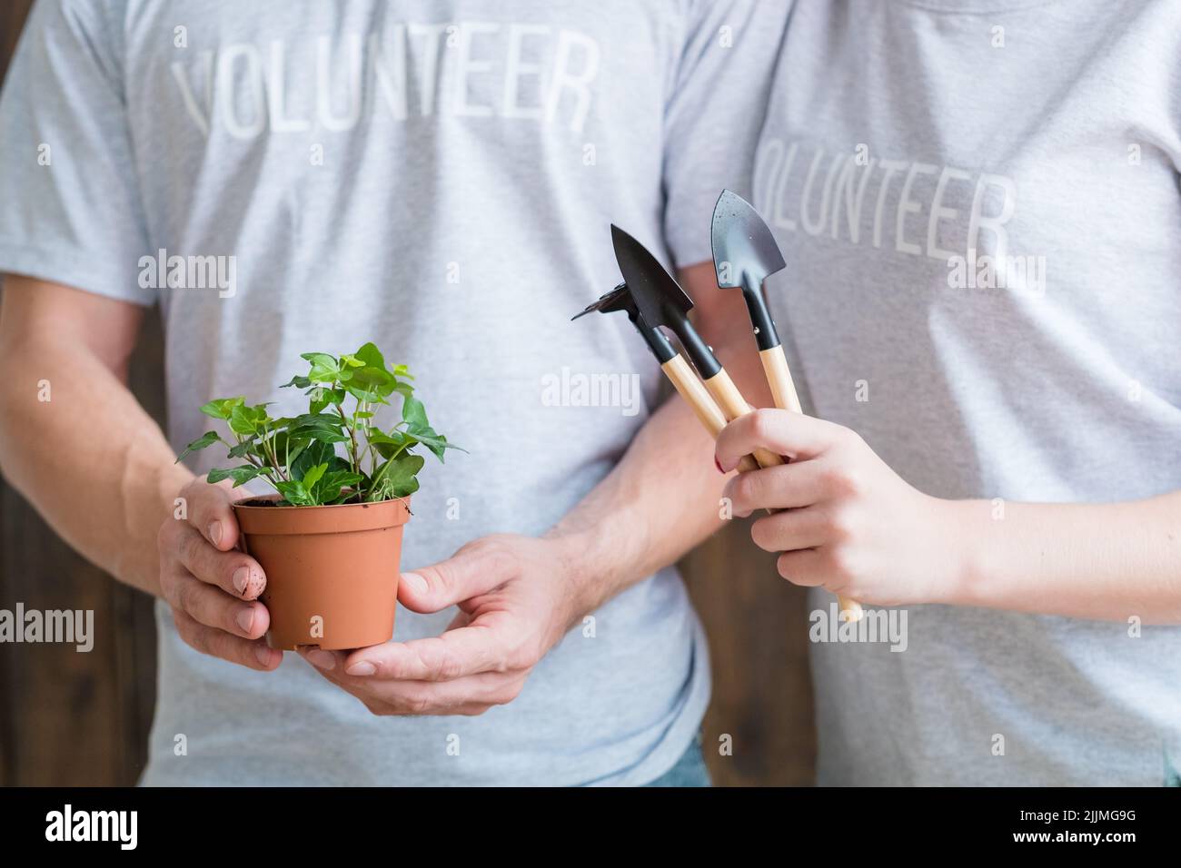 planting volunteer nature protection plant tools Stock Photo - Alamy