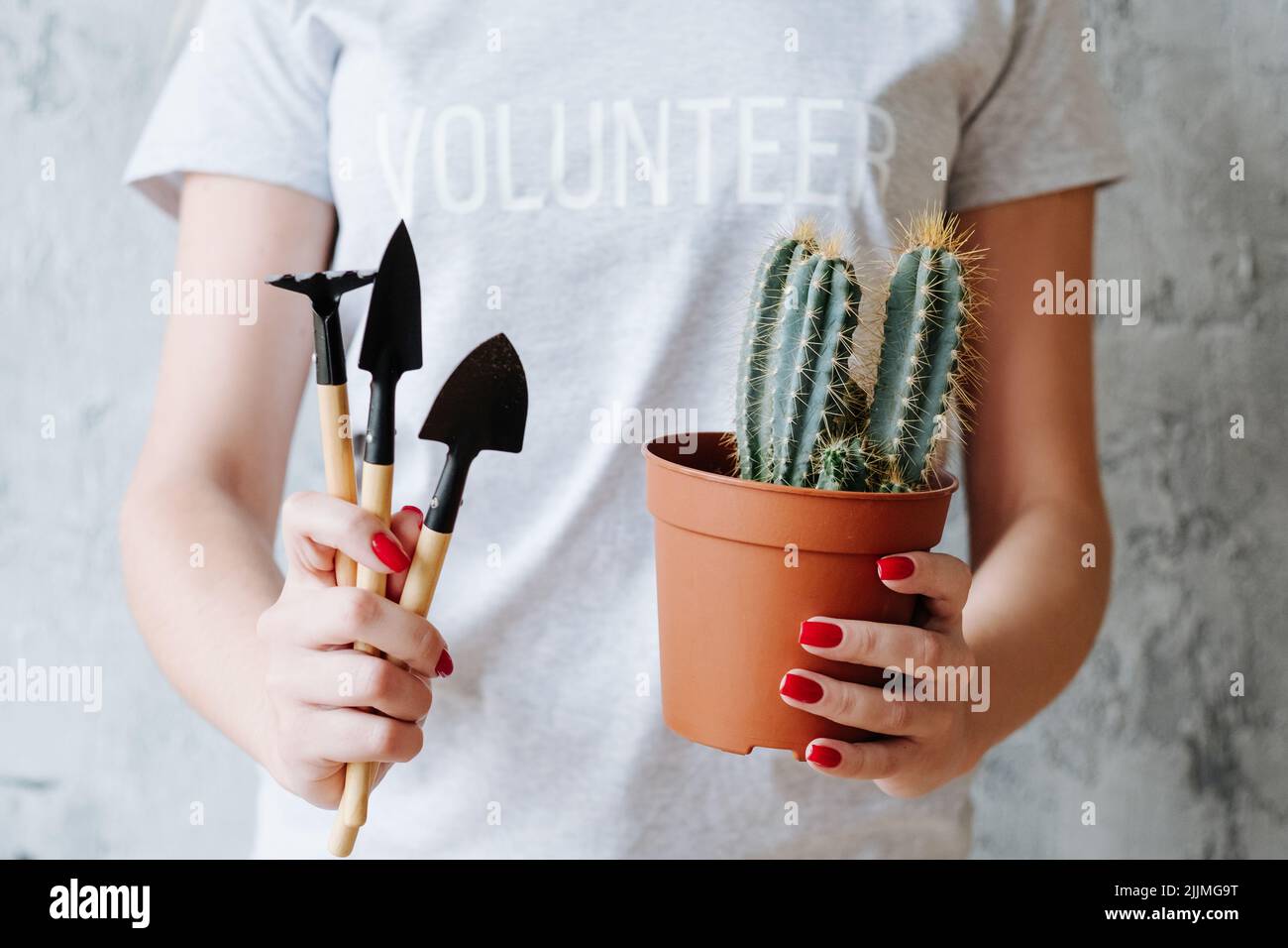 planting volunteer nature protection plant tool Stock Photo - Alamy