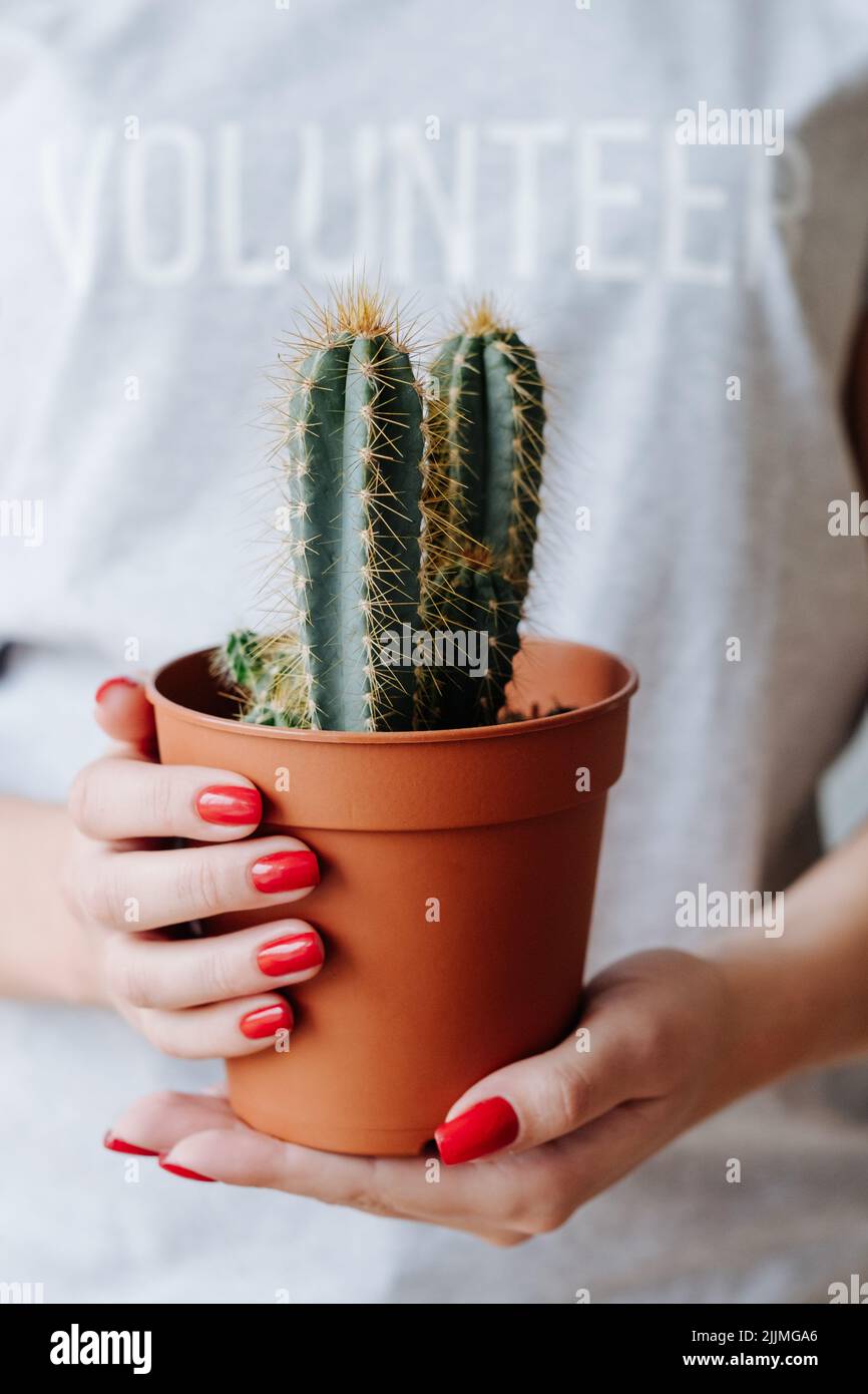 eco friendly volunteer woman nature protection Stock Photo - Alamy