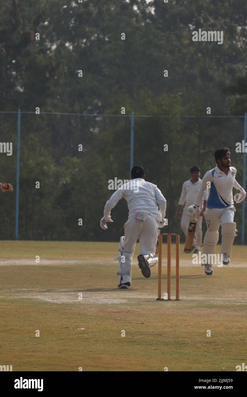 Cricket stadium grass hi-res stock photography and images - Alamy