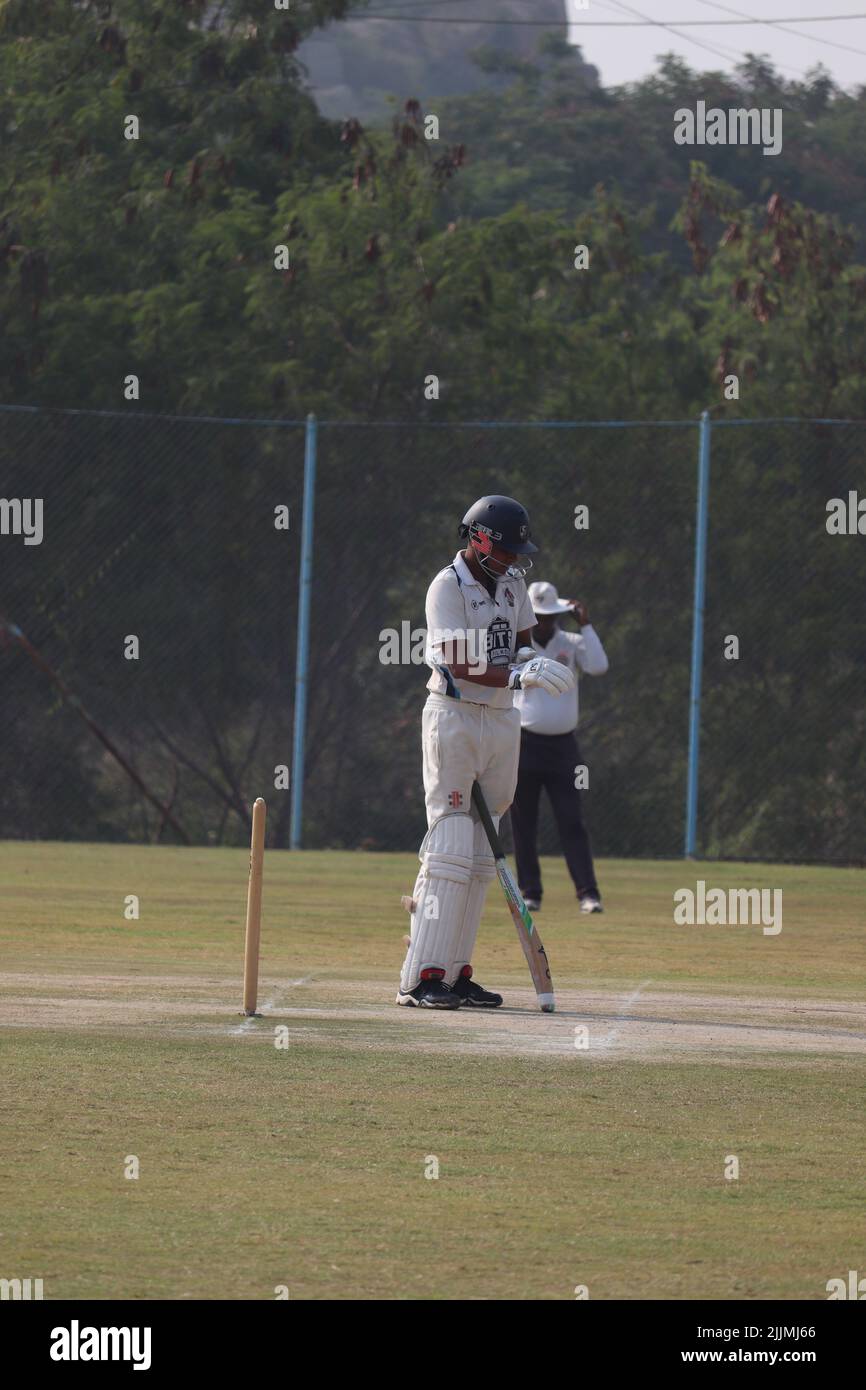 Collage cricket hi-res stock photography and images - Alamy