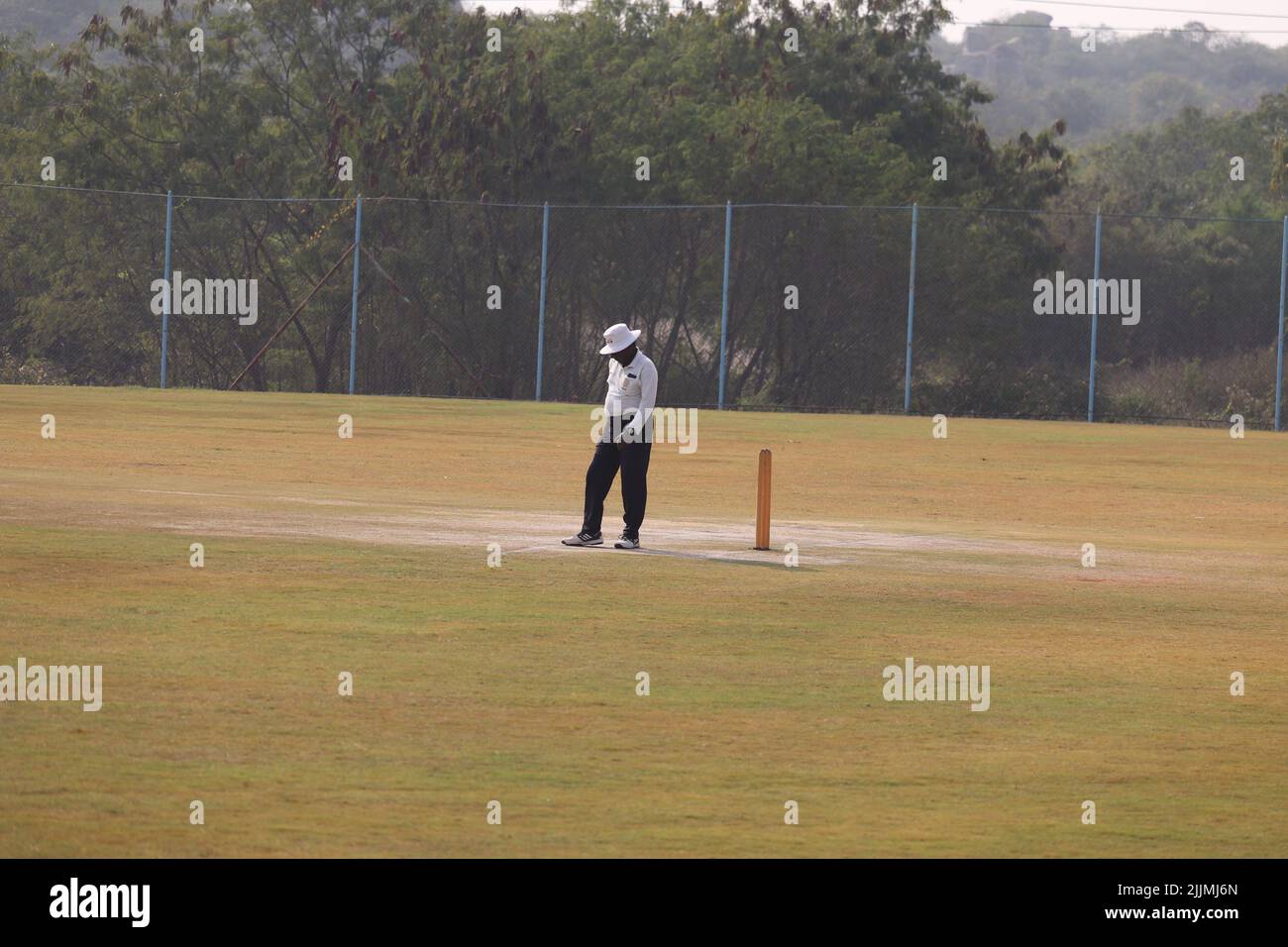 Cricket stadium grass hi-res stock photography and images - Alamy