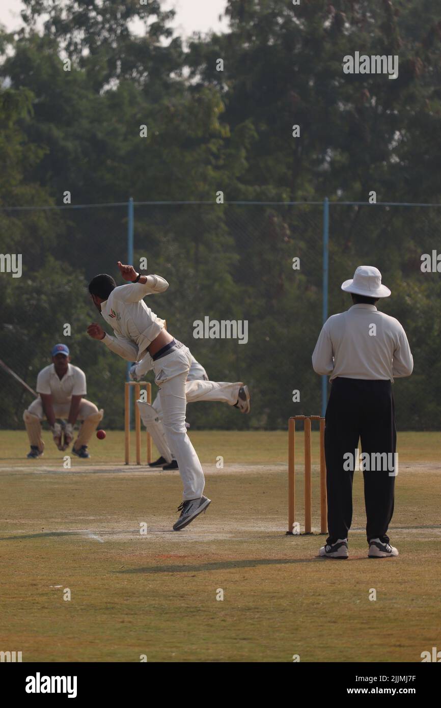 Collage cricket hi-res stock photography and images - Alamy