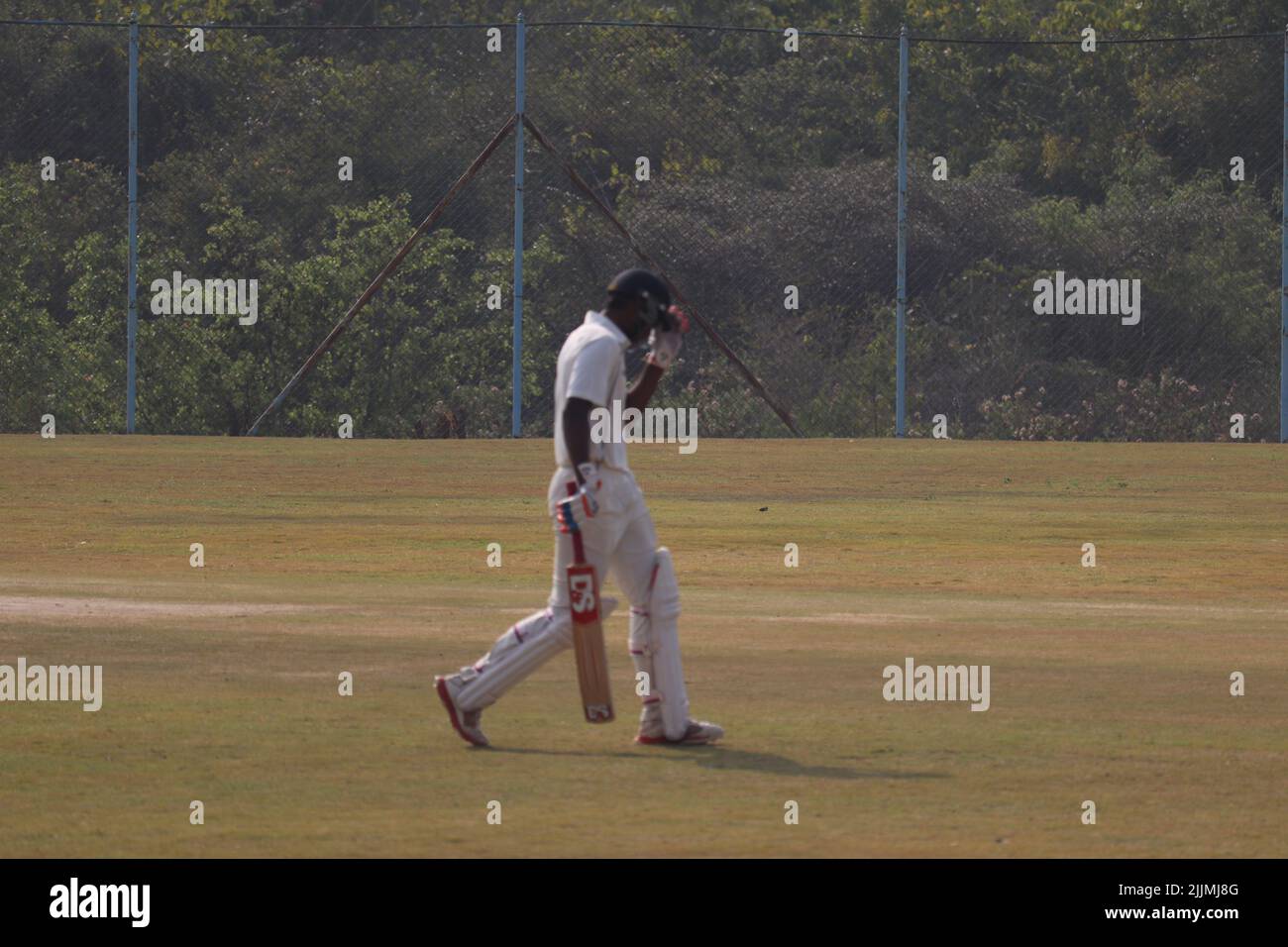 Collage cricket hi-res stock photography and images - Alamy