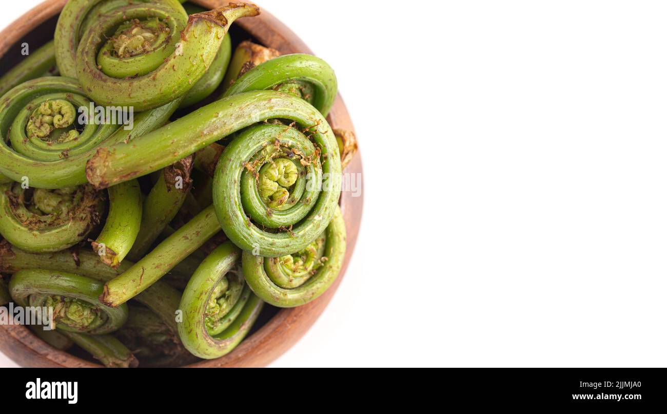 Fiddlehead and bowl hi-res stock photography and images - Alamy