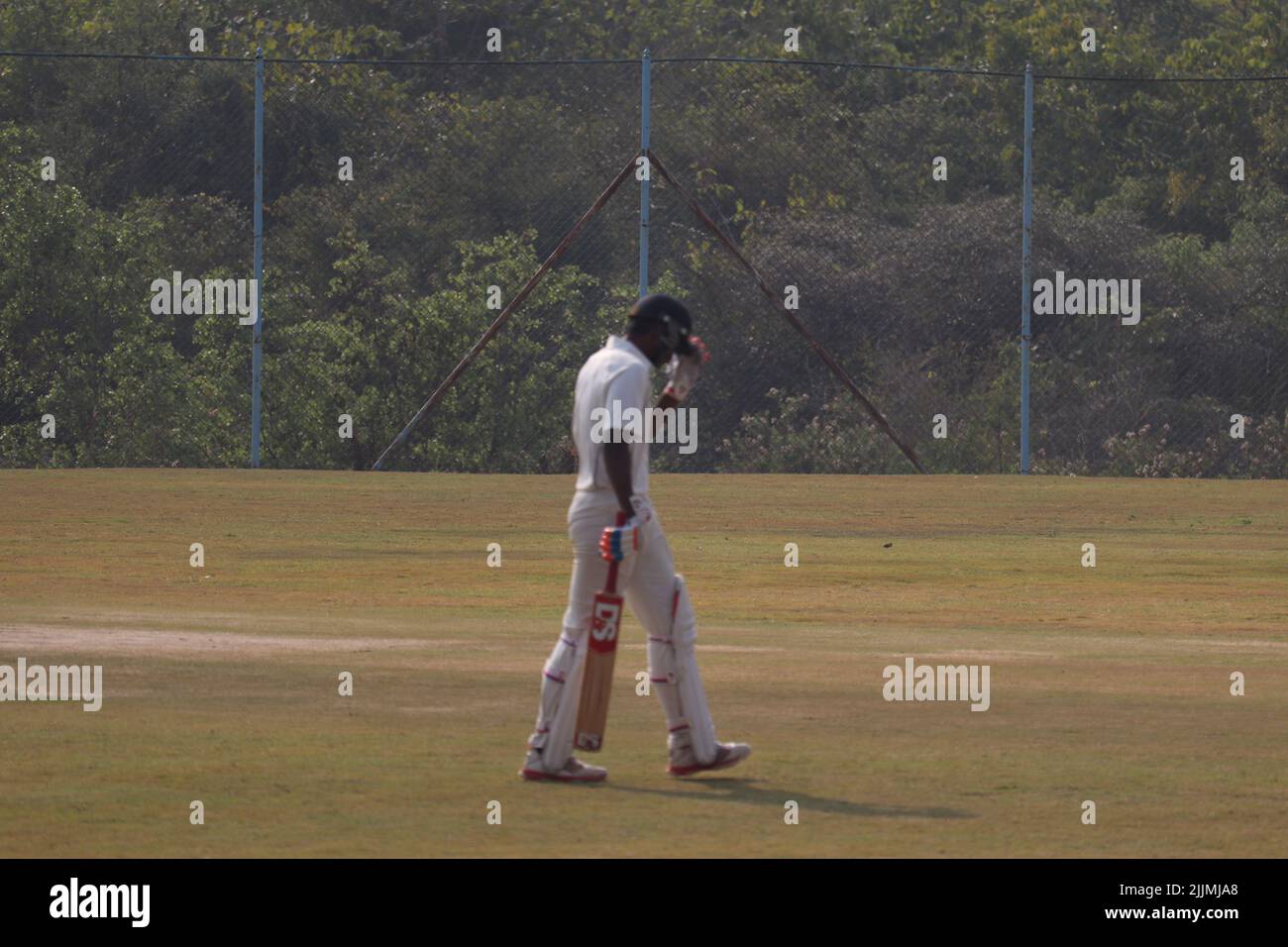 A closeup of a Cricket Match in Hyderabad Collage Stock Photo - Alamy
