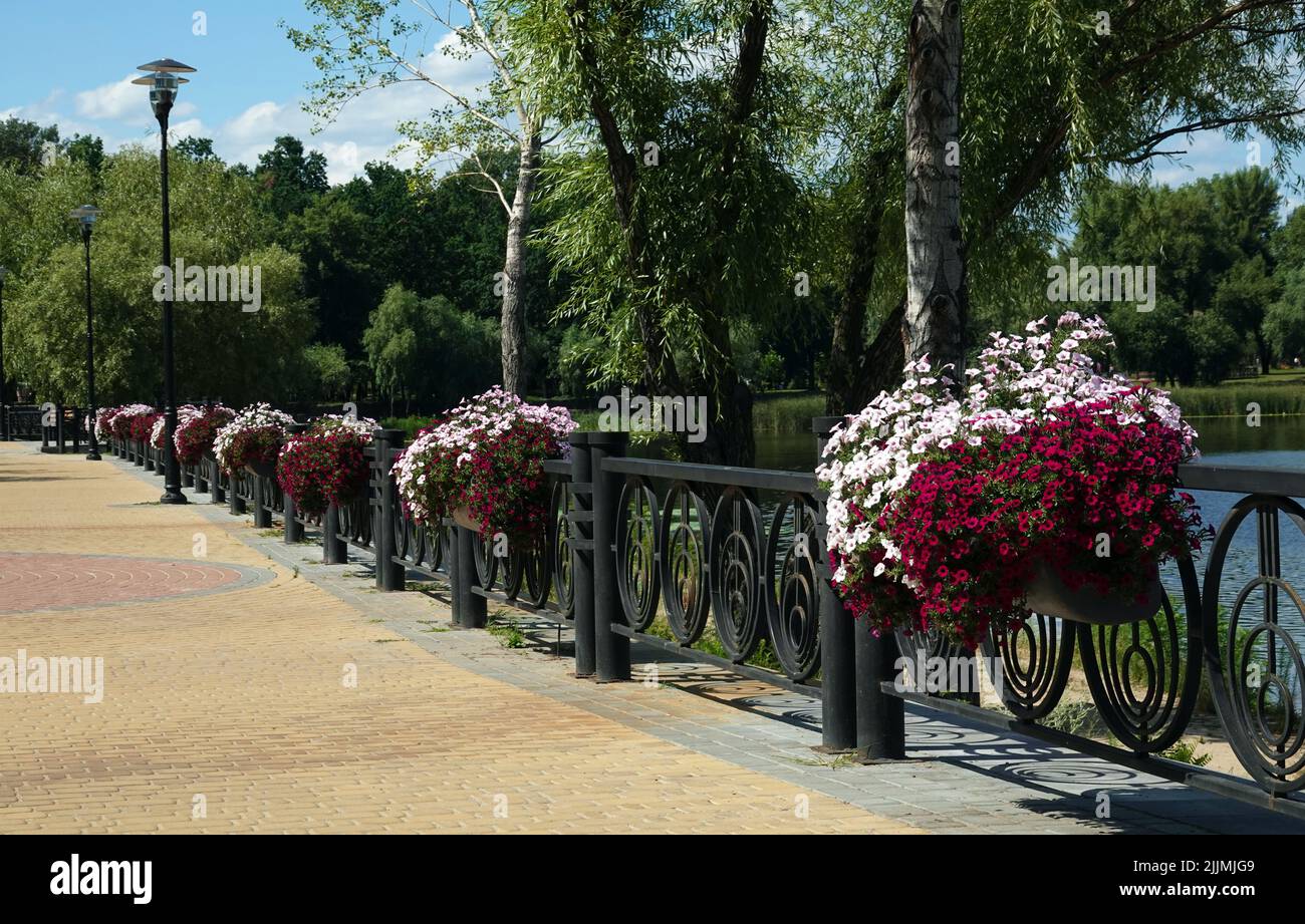 Hanging beds hi-res stock photography and images - Alamy