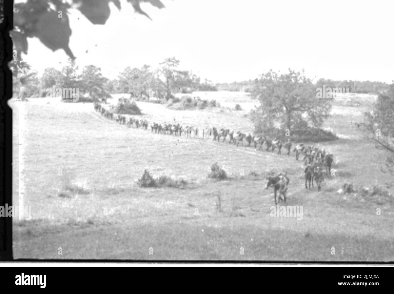 Life Regiment's Husars, K3 1947. Field exercises Remmingstorp Stock ...