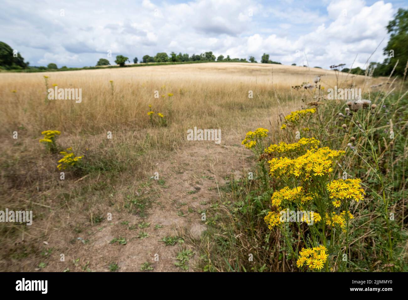 Dry uk estate 2022 hi-res stock photography and images - Alamy