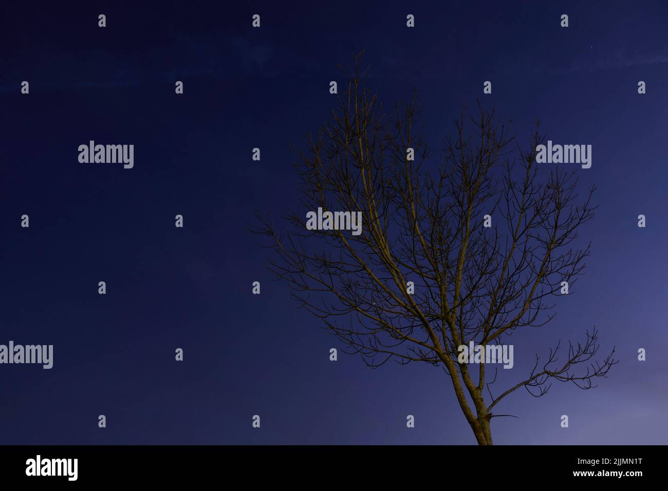 Fading light hi-res stock photography and images - Alamy