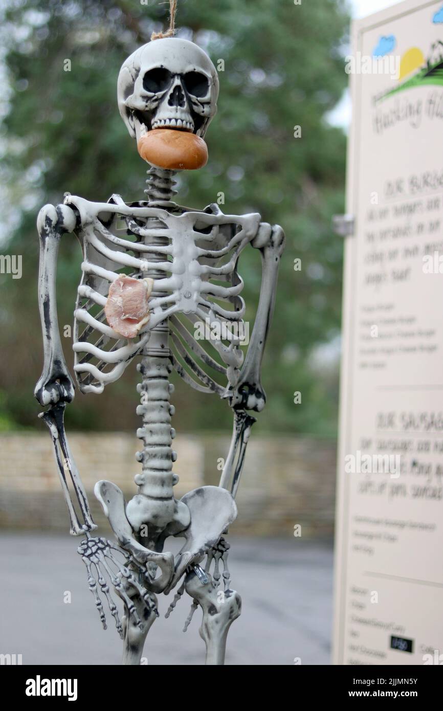 Fat skeleton hi-res stock photography and images - Alamy