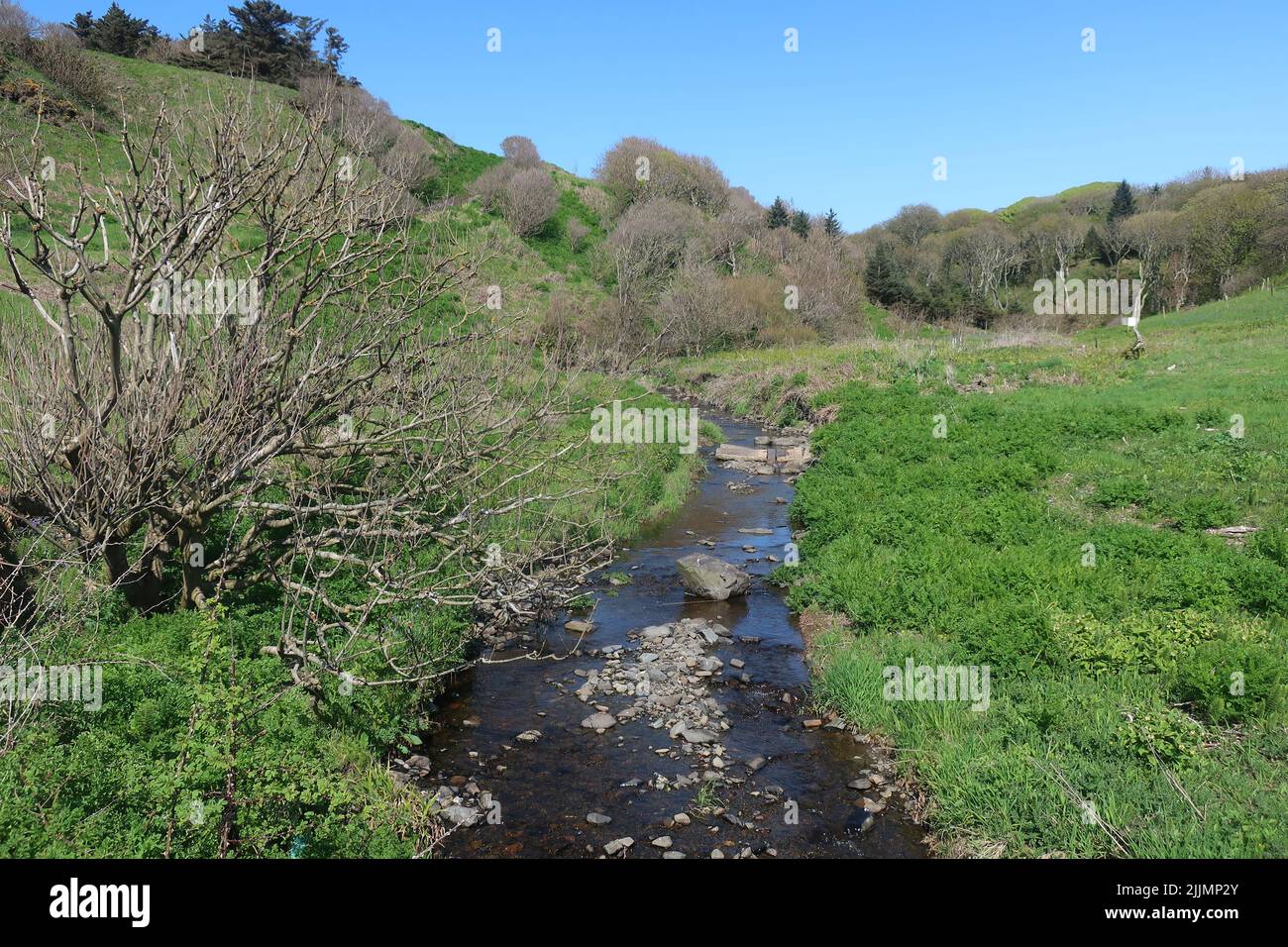 The Southern Upland Way Scotland's Great Trails long-distance footpath ...