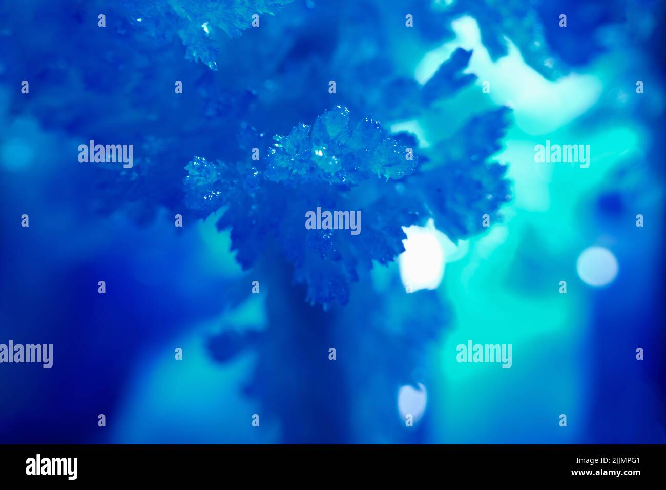 Frozen ice patterns in winter cold freezing Stock Photo - Alamy