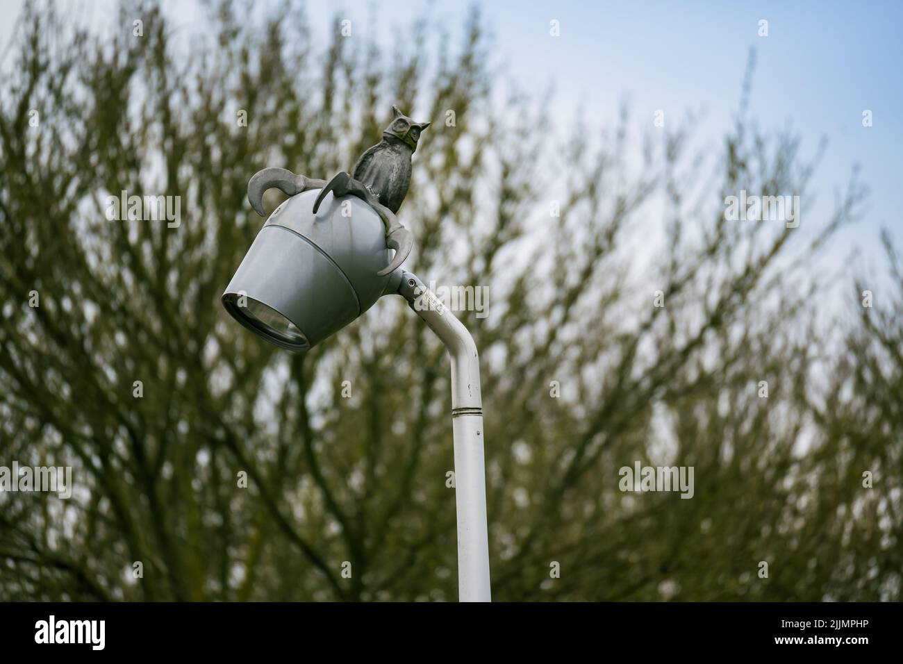 A closeup shot of a lamp post with trees in the background Stock Photo ...