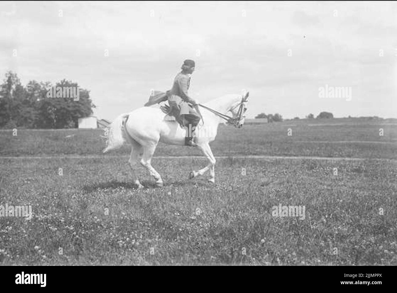 Ingrid von Essen on horseback, wife of the rider at K 3 Peter von Essen ...