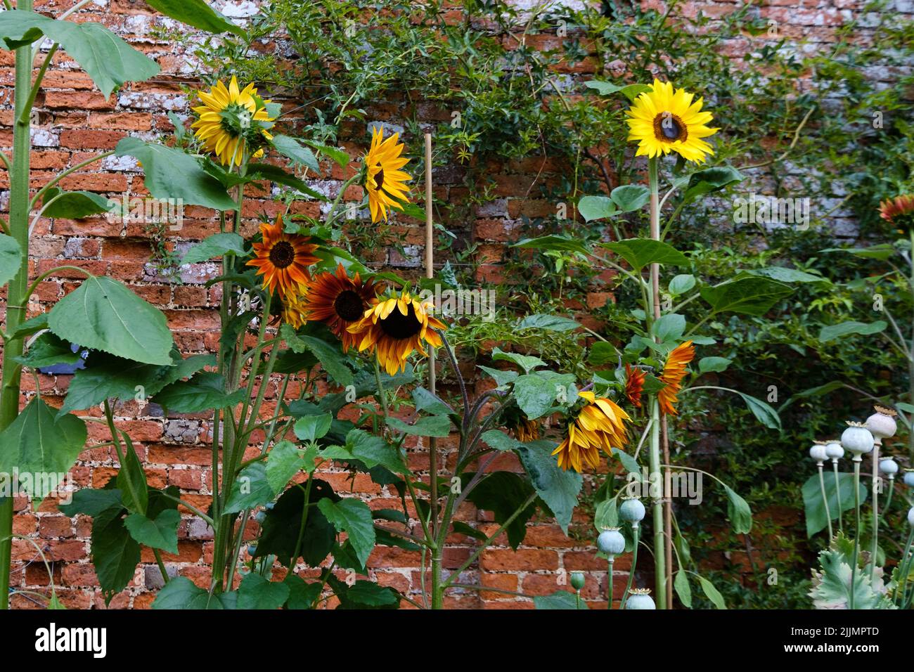 The gardens at Cerney House, Gloucestershire Stock Photo - Alamy