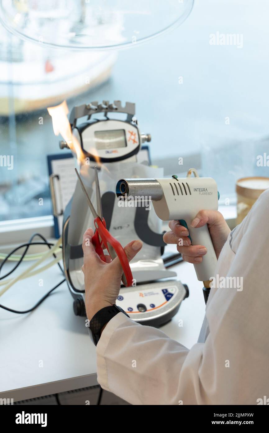 A vertical shot of a scientist doing a research in a laboratory Stock ...