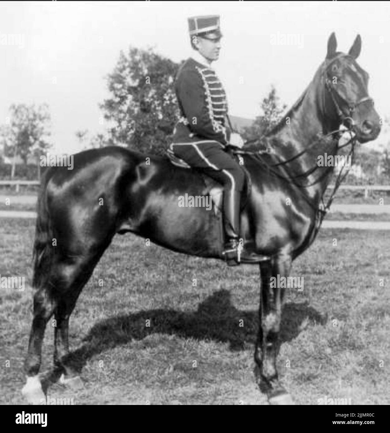 Rider champion Clarence von Rosen at the dressage track Östra Barernen ...