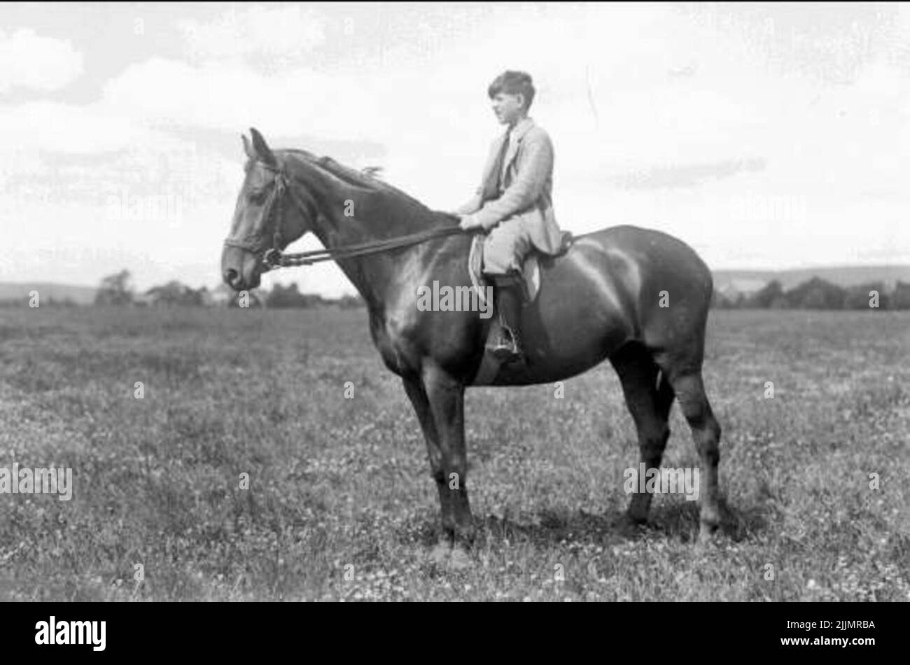 Peter von Essen on horseback Stock Photo - Alamy
