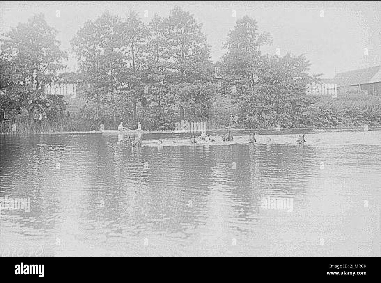 Patrol field competition for horse 1934, swimming with horse over ...