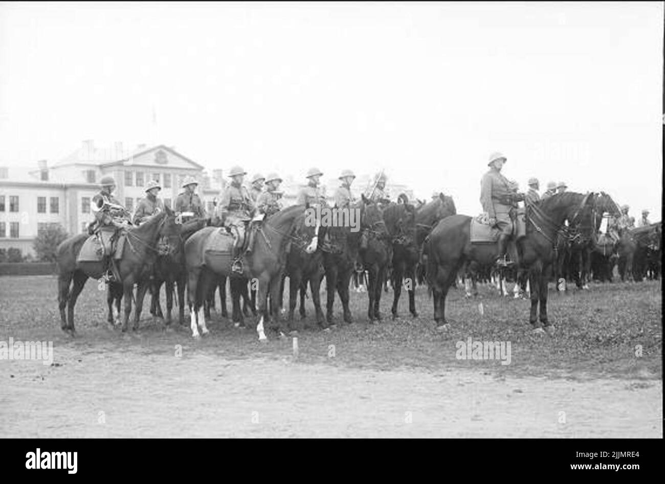Cavalry inspector Major General Reinhold von Rosen's resignation by the ...