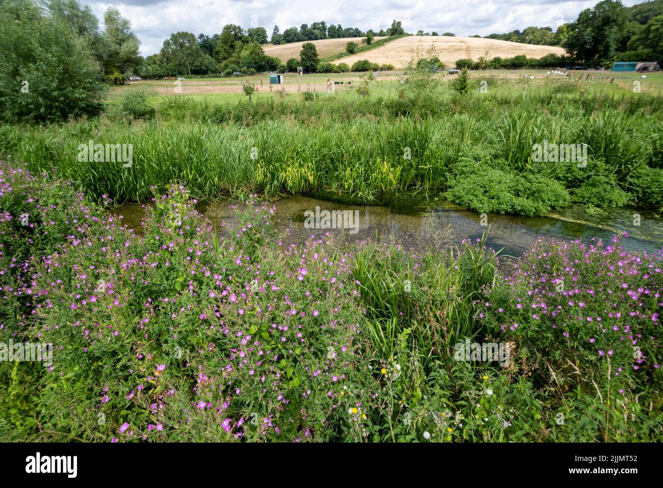 Chalk stream drought hi-res stock photography and images - Alamy