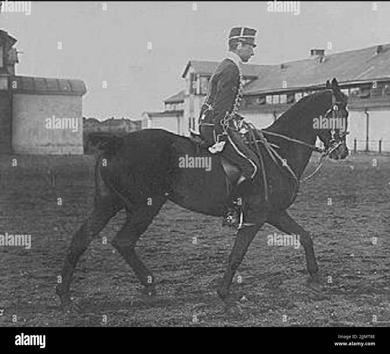 The Life Regiment's Husars, K3 Stock Photo - Alamy