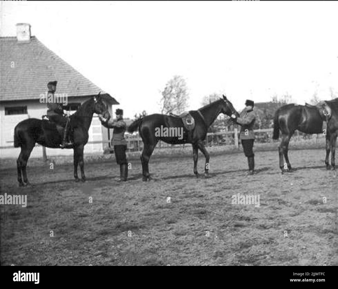 Rider Master Greve Lusorki's horses Stock Photo - Alamy