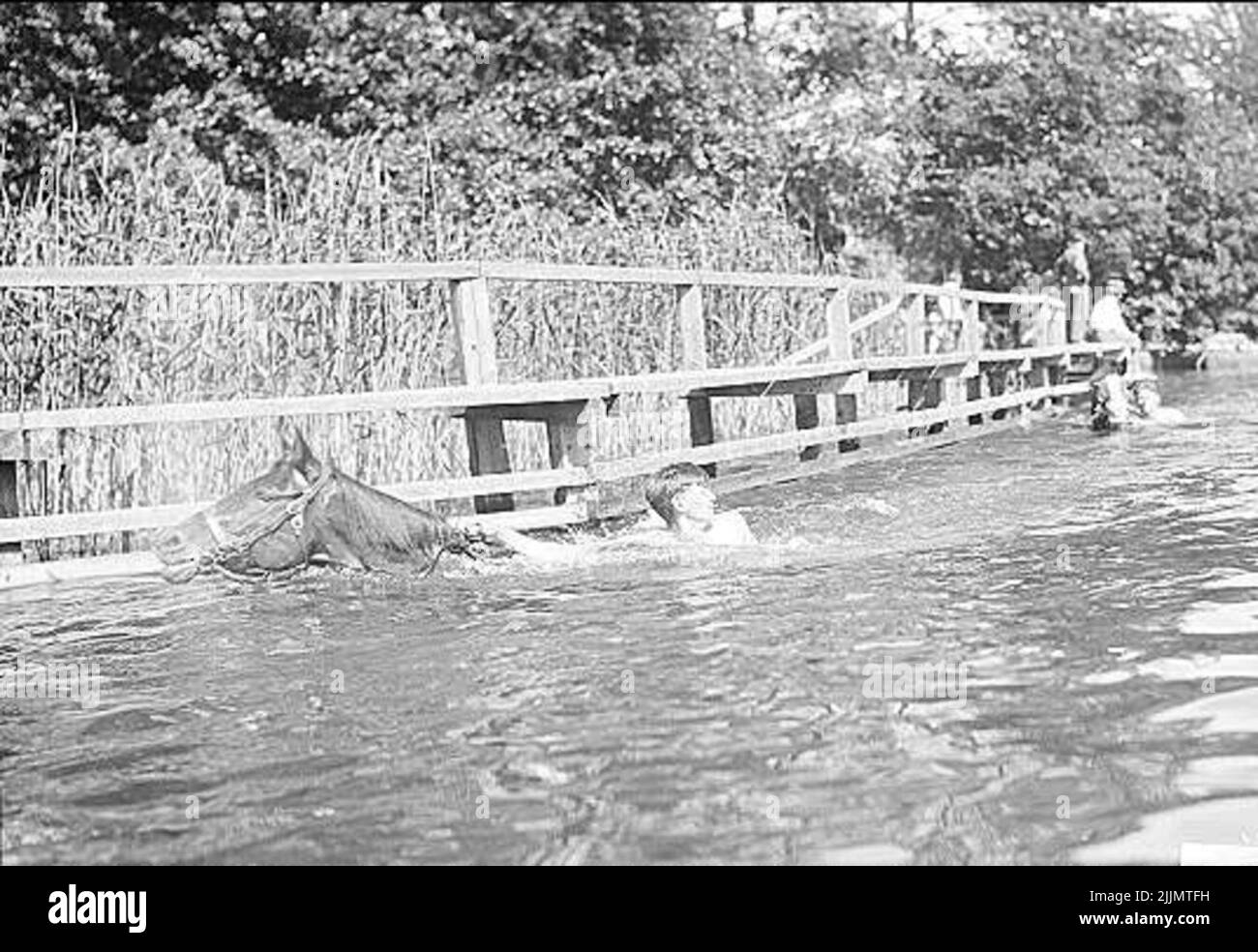 Progression along bridge in natural hi-res stock photography and images ...