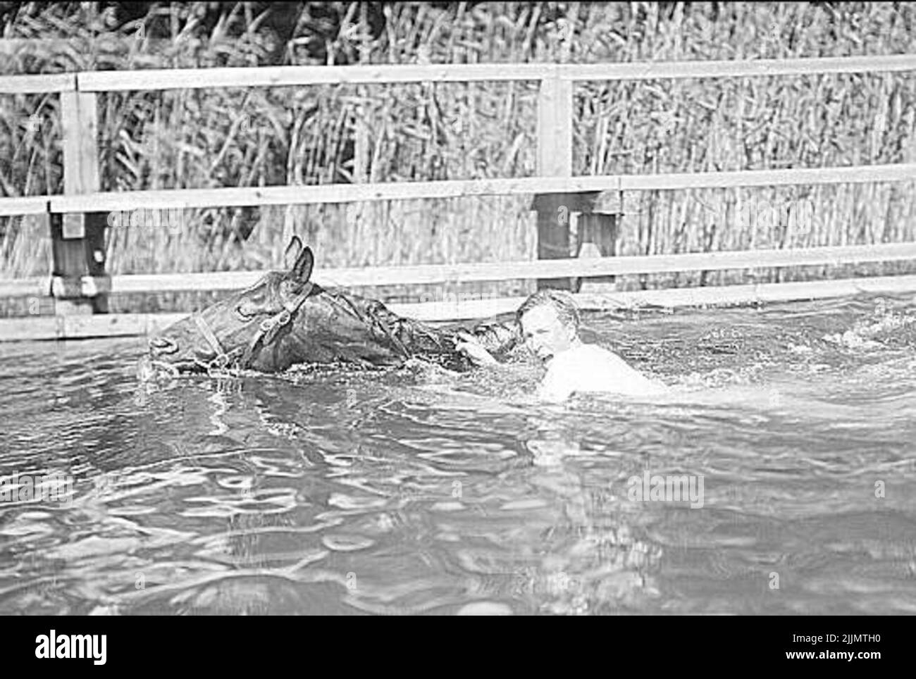 Progression along bridge in natural hi-res stock photography and images ...