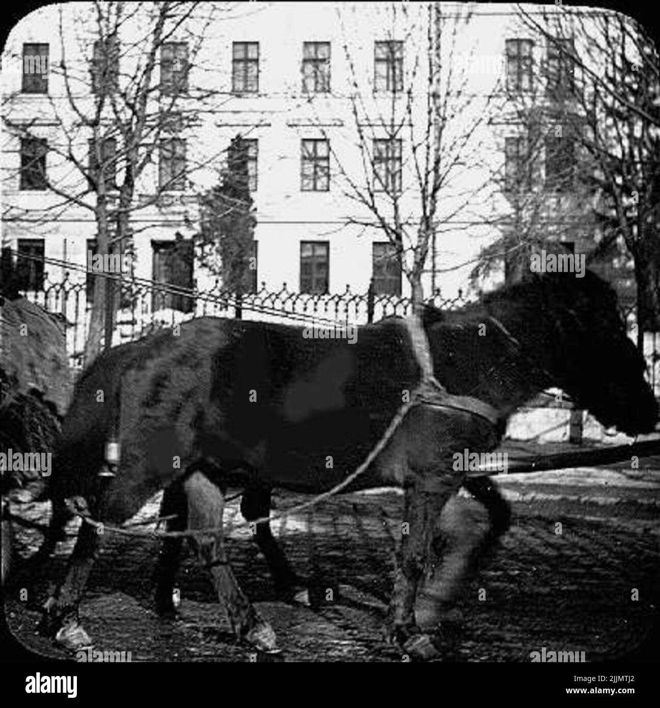 Lemberg ukraine hi-res stock photography and images - Alamy