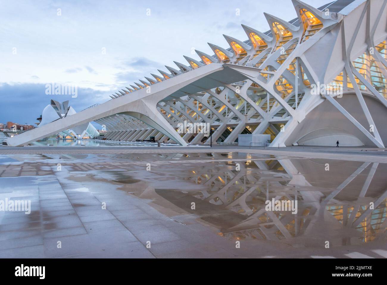 Architectural detail of the City of Arts and Sciences, a cultural and ...
