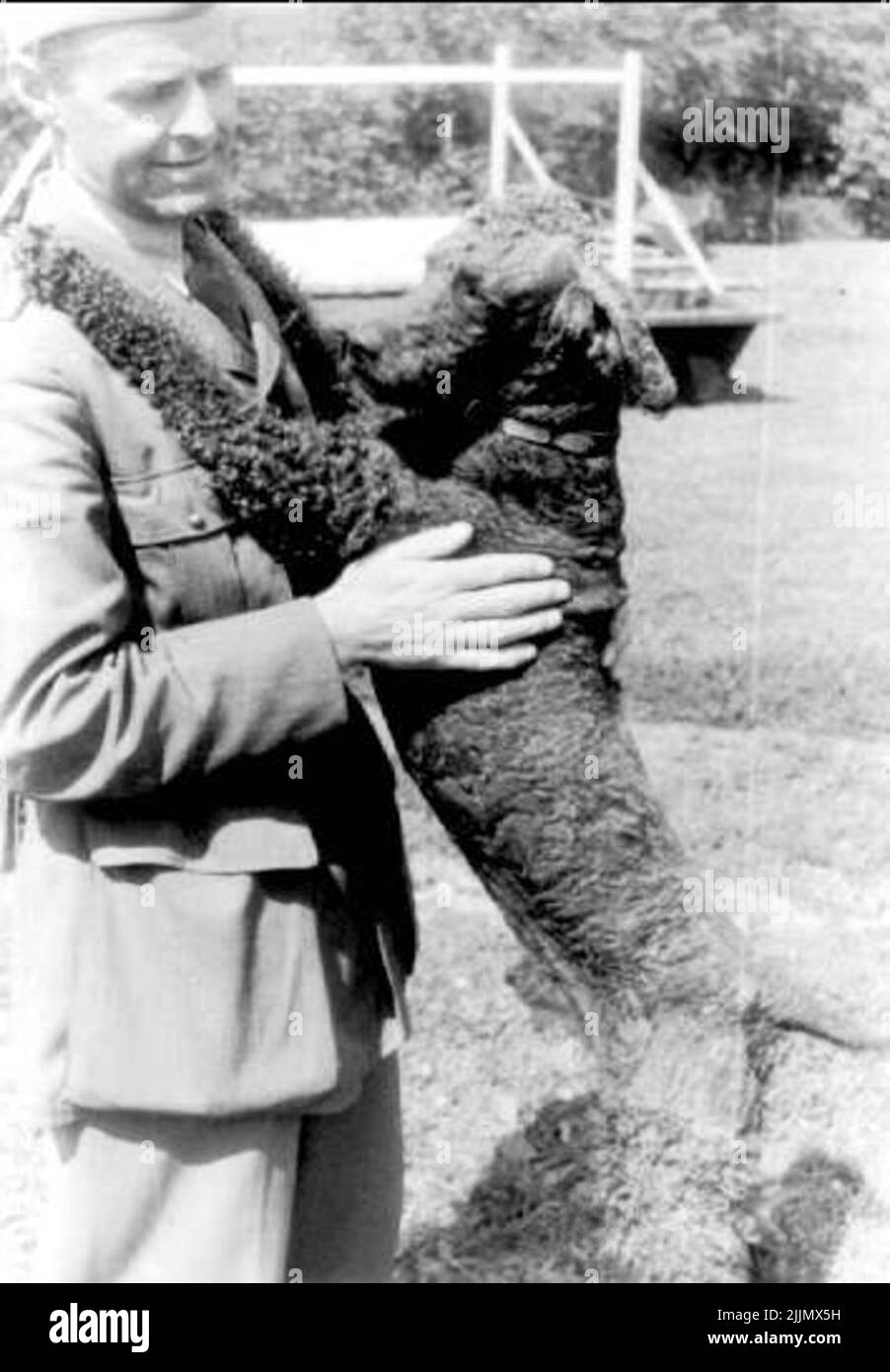The head of the Cadet School Major Gert Schultz Stock Photo - Alamy