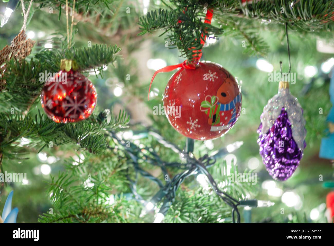 Setting up the Christmas tree with ornaments in November Stock Photo ...
