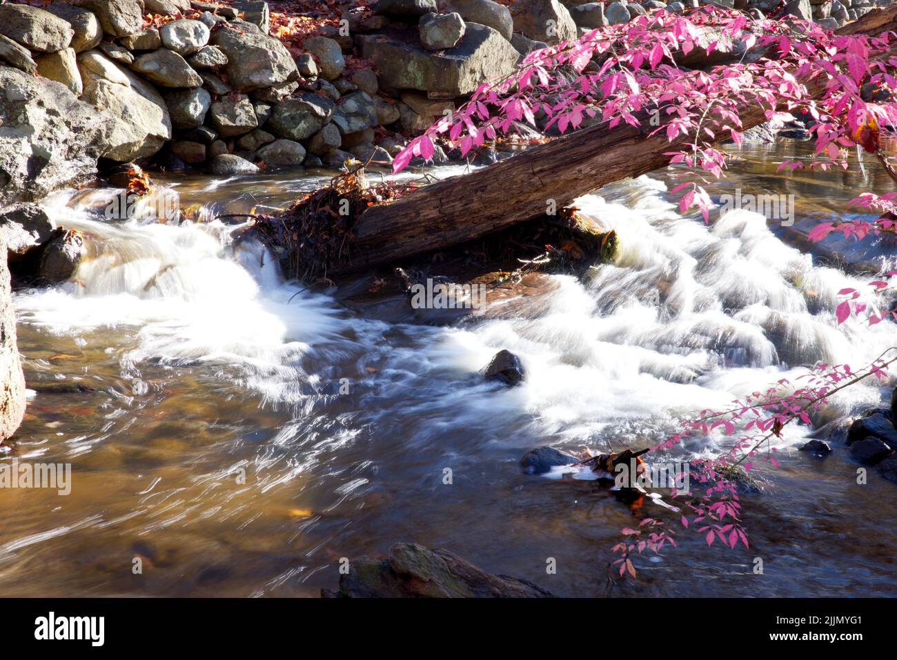 A beautiful view of flowing river in Teatown Lake Reservation, NY, USA ...