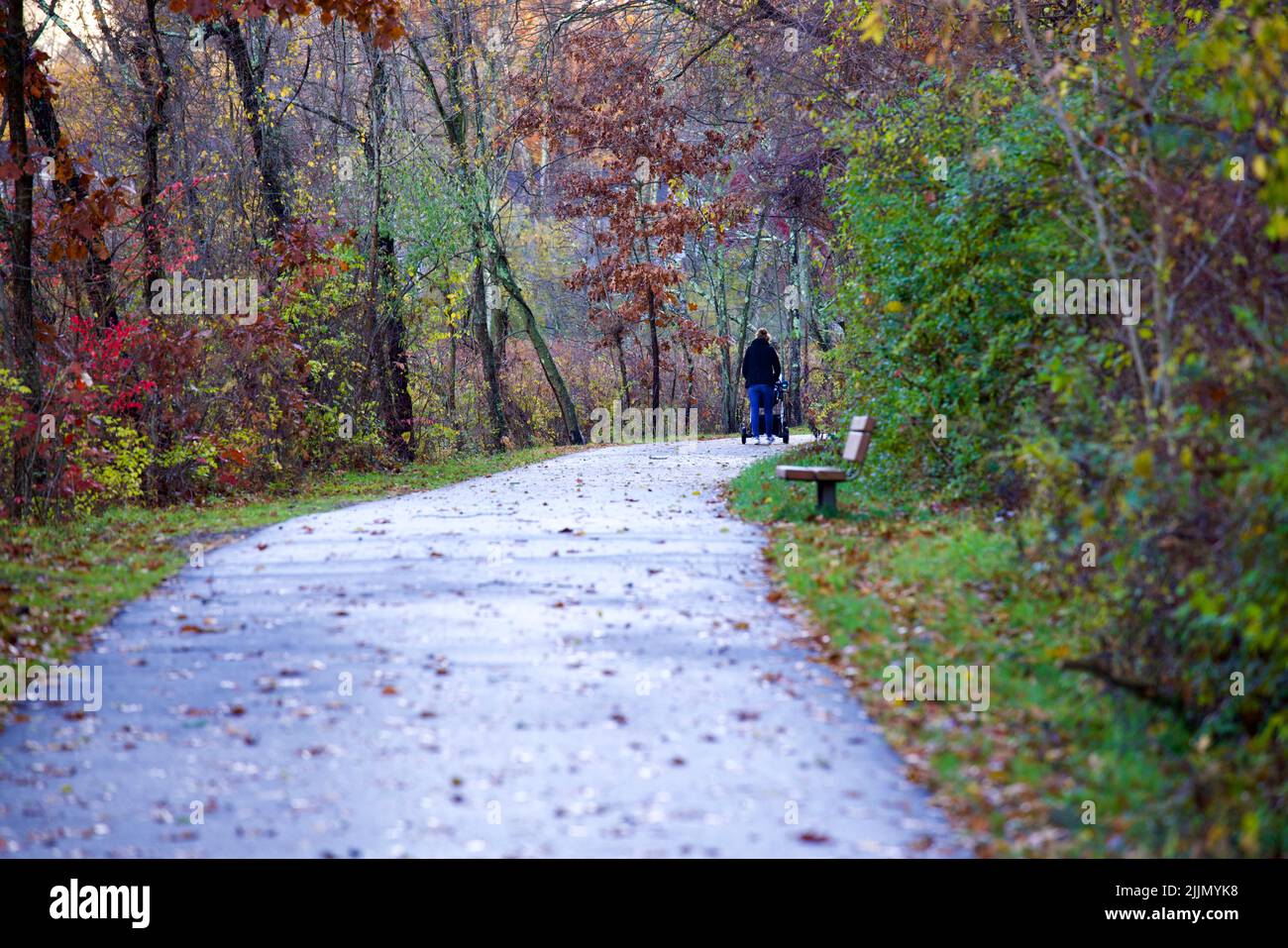 A beautiful view of a woman pushing a baby stroller through a road in ...