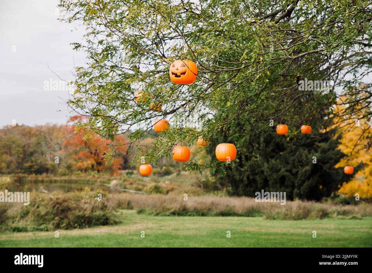 Lanterns hanging from branches hi-res stock photography and images - Alamy
