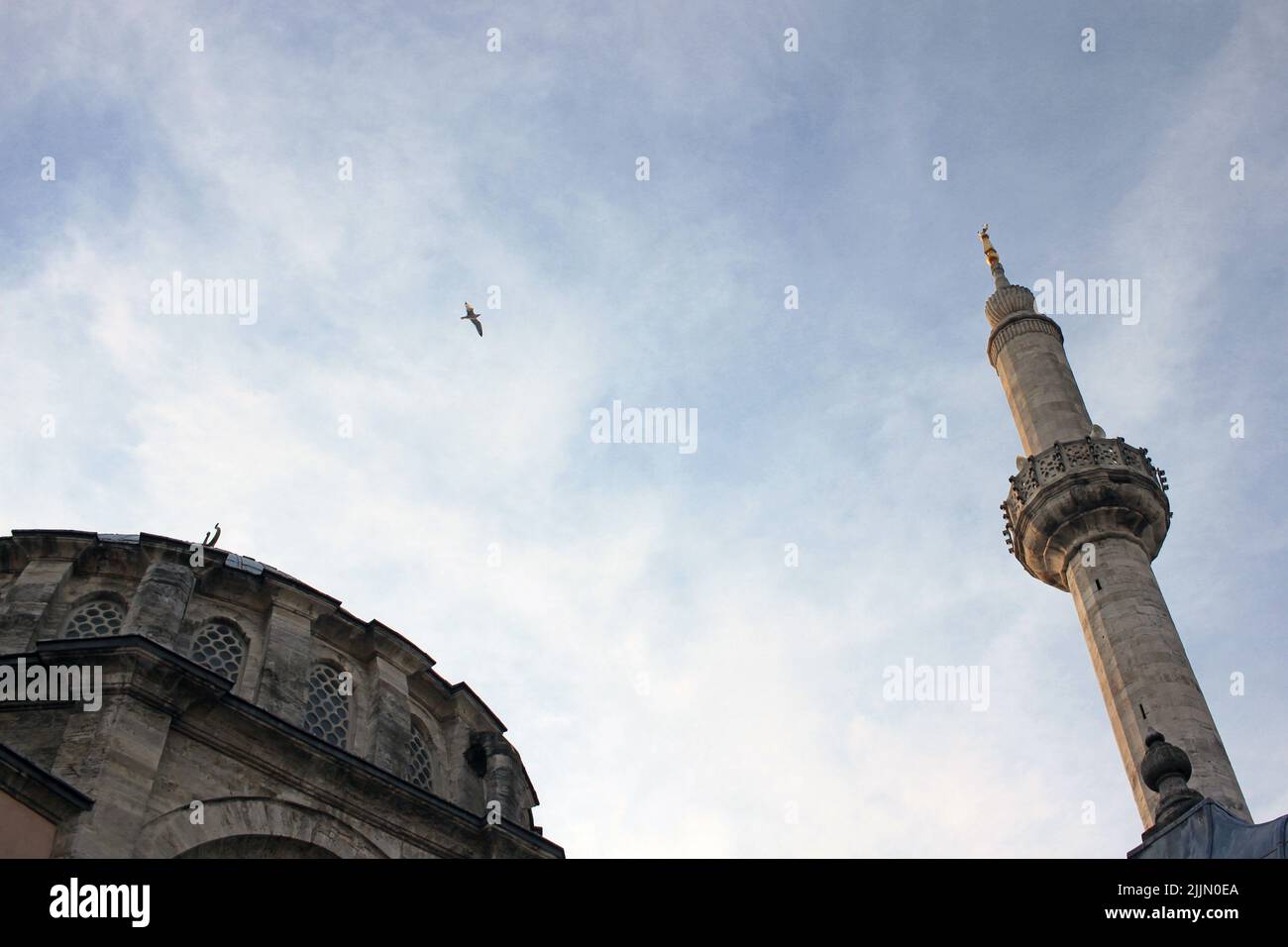 Mosque and bird hi-res stock photography and images - Alamy